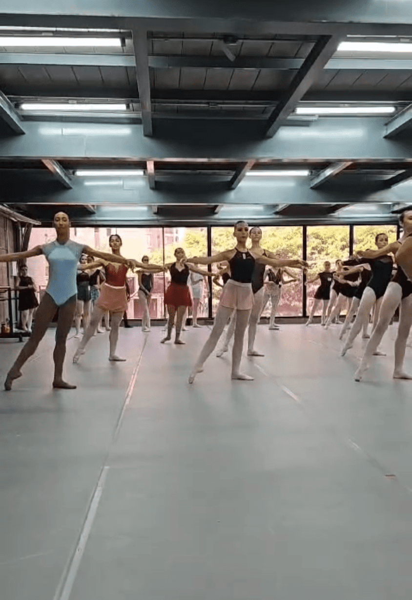 Ballet de Excelência: A Magia Acontece em uma Sala de Aula ...